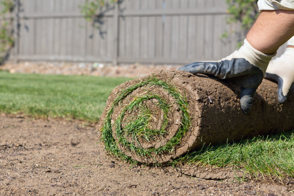 Professional Landscaping & Installation Services | Honeycutt ...